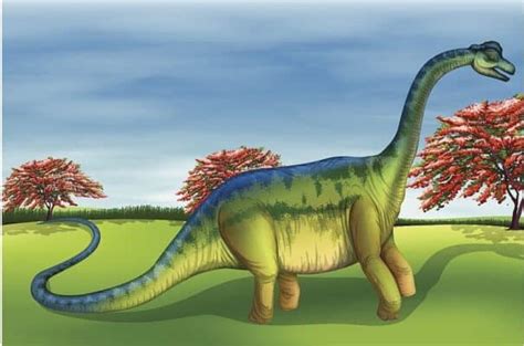 Top 15 Famous Dinosaurs With A Long Neck Dinosaur Universe