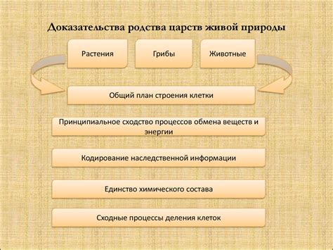 Сходство и различия клеток растений грибов и животных Online Presentation
