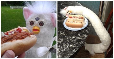 When Was The First Long Furby Made At Jesse Mcmorrow Blog