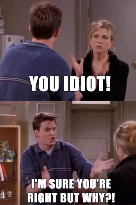 You Are An Idiot Meme