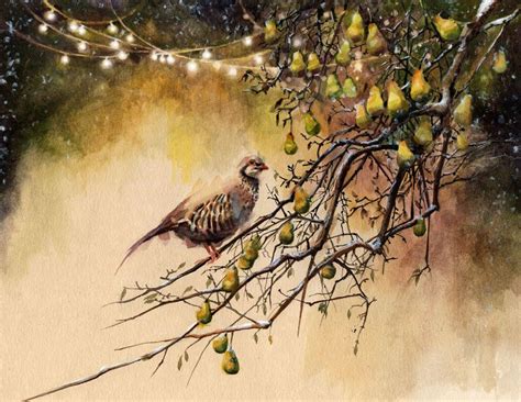 Partridge In A Pear Tree Illustration Art Illustration Pear Trees