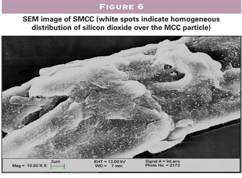 Eye On Excipients Formulations To Facilitate Direct Compression Tableting Tablets And Capsules