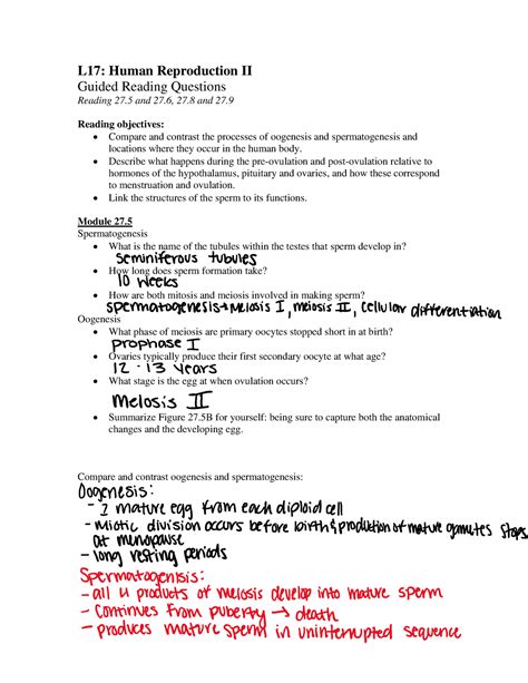 Lesson17 Grqs Reproductionpart2 L17 Human Reproduction Ii Guided