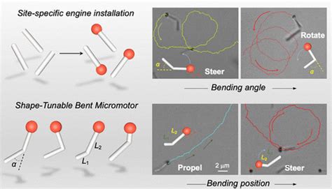 Light Activated Colloidal Micromotors With Synthetically Tunable Shapes And Shape Directed