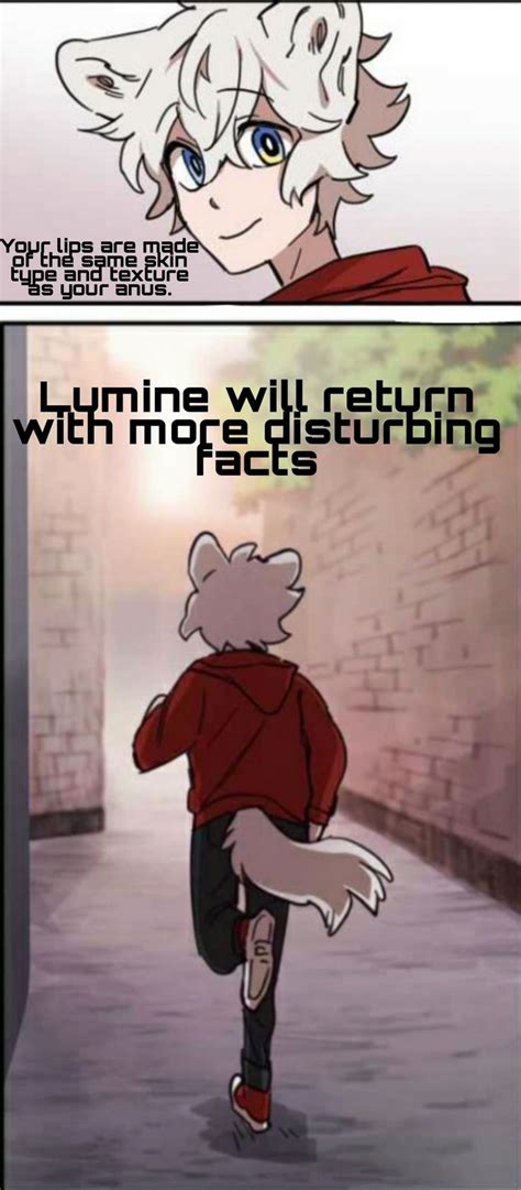 Lumine Will Return Webtoon Anime Fictional Characters