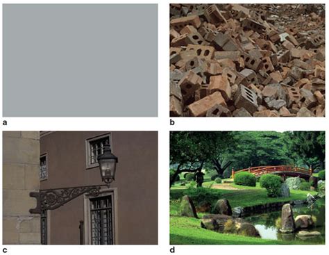 Novel Perceptual Stimuli PDF Age Related Increases In False Recognition The Role For