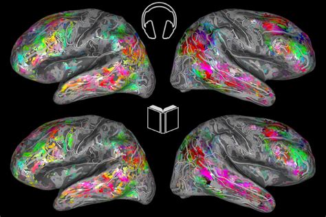 A Map Of The Brain Can Tell What Youre Reading About Research Uc