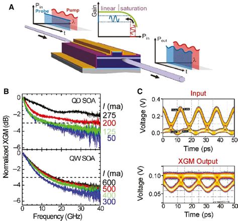 Cross Gain Modulation Of A Semiconductor Optical Amplifier Soa The Download Scientific