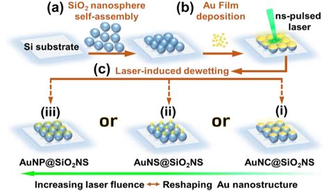 Schematic Diagram Of The Hierarchical Plasmonicphotonic Nanostructure Download Scientific