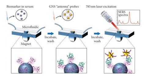 A Appearance Of Microfluidic Chip And Its Micrograph Of 30 Analysis Download Scientific