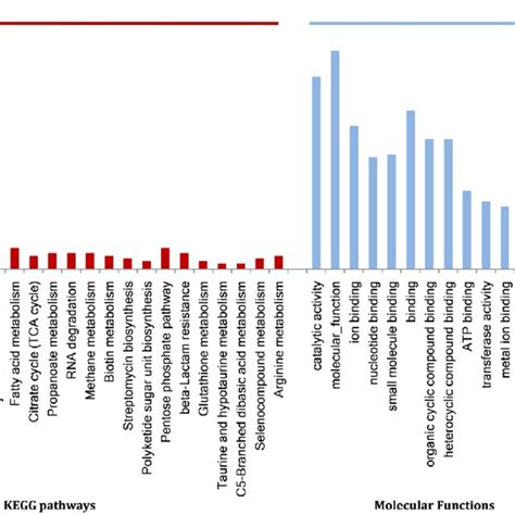 String Analysis Version 105 Showing The Predicted Molecular Action