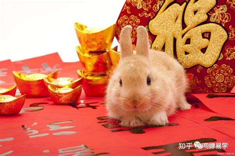 天乙贵人的作用和两种用法，以及需要注意的地方 知乎