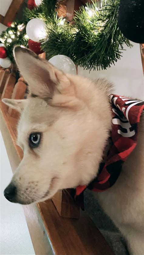 Ma Why Wont You Let Me Play With These Balls Rpomsky