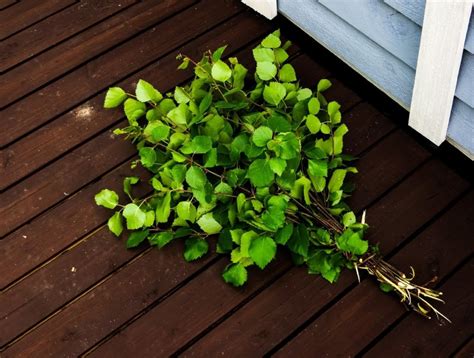 Vasta Or Vihta The Fascinating Tradition Of Finnish Sauna Whisks
