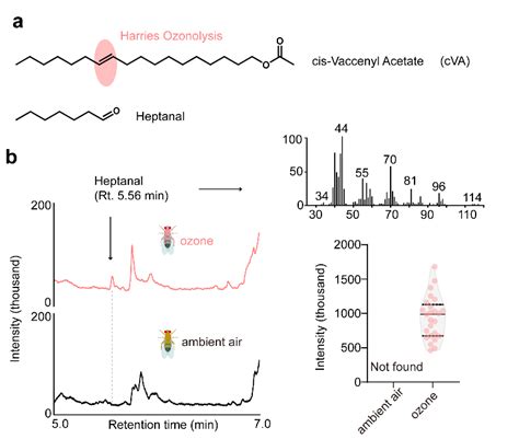 Fig S2 Ozone Exposed Males Emit More Heptanal A Potential