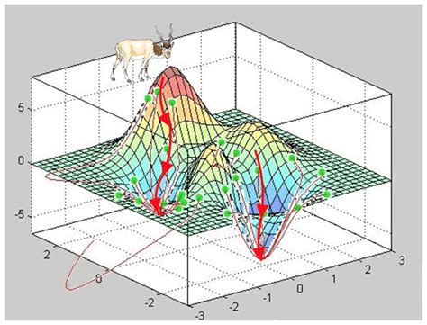 How To Understand Gradient Descent Dezhi Yu