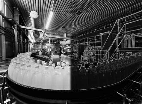 Showcase Pollen Consulting