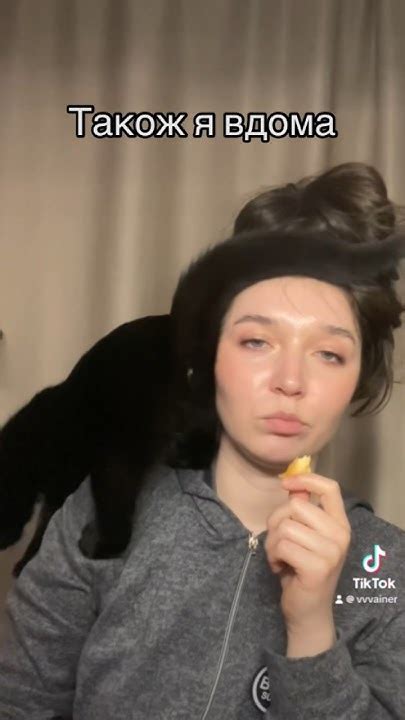 Хіба може кіт заважати Cat кіт котики киця Youtube