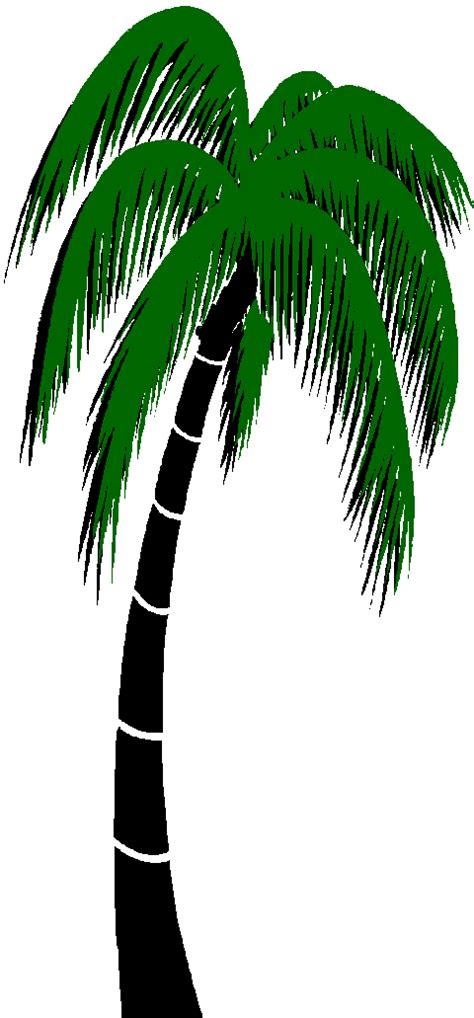 Free Palm Tree Photo Download Free Palm Tree Photo Png Images Free