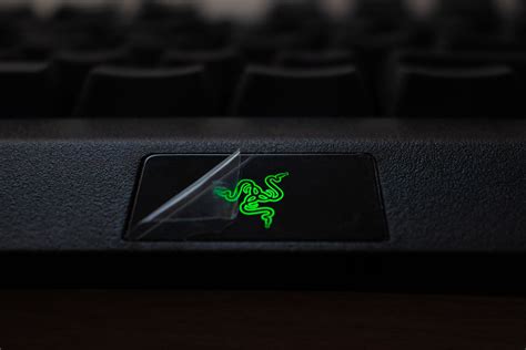 FIX Razer Synapse Not Detecting Mouse Or Keyboard