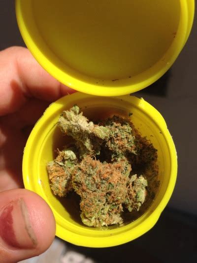 Critical Plus 😱🙏🏼💕 Tumbex