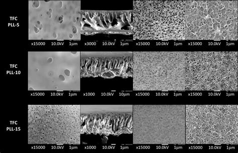 Sem Image Of Top A Cross Section B And Bottom C Of Psf Substrate