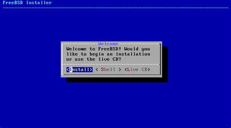 How To Install FreeBSD With ZFS Tilaa Supportdesk