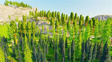 SEQUOIA KINGS V1 0 FS22 Mod