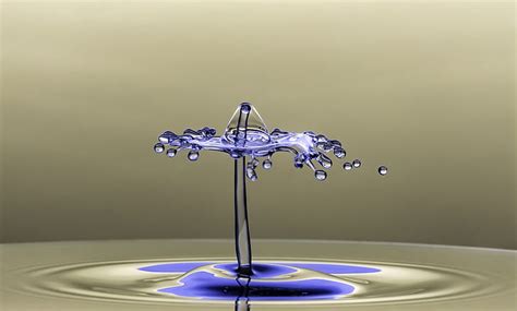 Water Drop Squirt Hd Wallpaper Wallpaperbetter