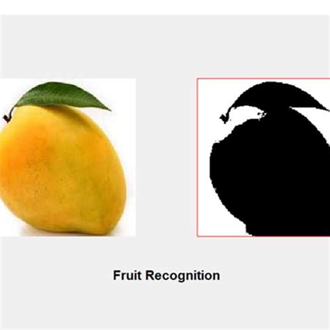 Image Feature Extraction Of Mango Download Scientific Diagram