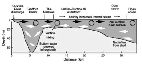 Simplified Water Circulation Model Of Halifax Harbour From Bedford Download Scientific Diagram