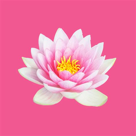 Link Analysis Tools Sintelix