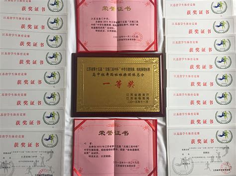 江苏省第十五届中学生健美操比赛我校健美操队再创佳绩