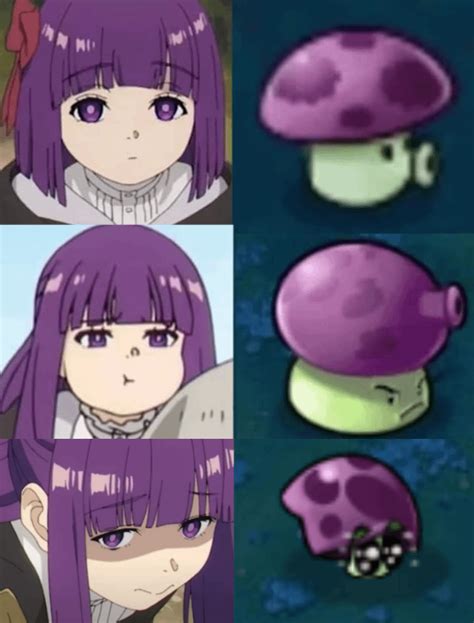 They Made The Mushroom From Pvz An Anime Girl1 Ranimemes