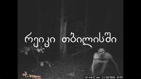 რეიკი თბილისში Youtube