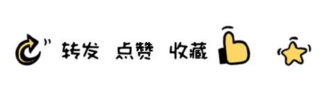 股市术语 滚动市盈率（pe Ttm） 知乎