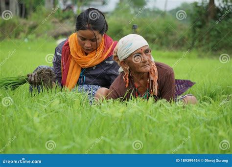 Chitwan Nepal15 July 2020 Nepali Women Posing For A Camera While