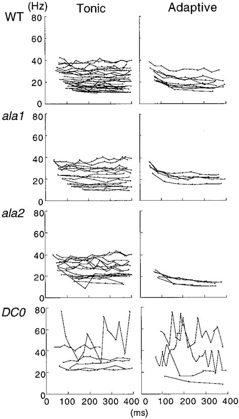 Instantaneous Firing Frequency In Wt And Mutants Instantaneous Firing