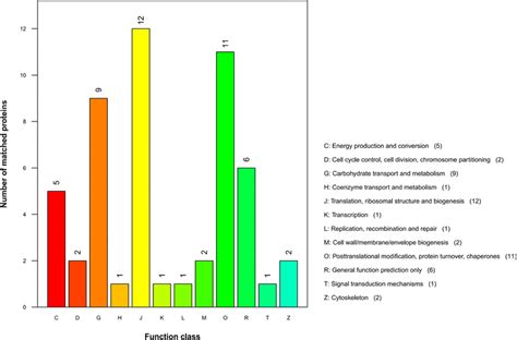 COG Function Classification Of Proteins Identified In Fraction Download Scientific Diagram