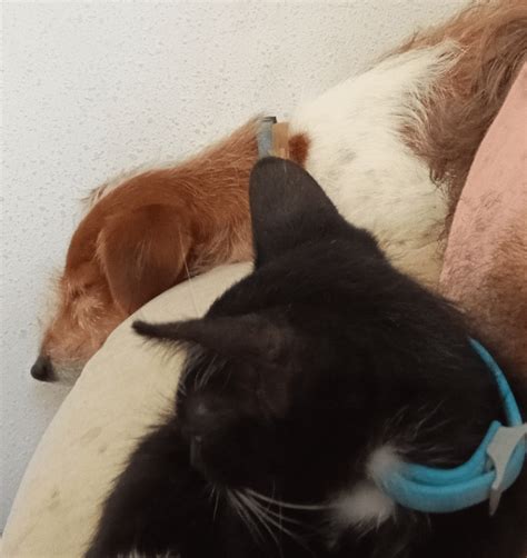 Behold Stinky Stinky Mr Fuck Rscottthewow