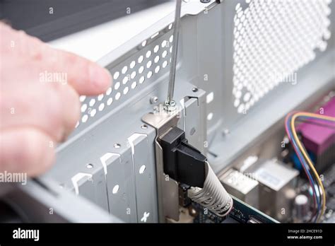 Installing Graphics Card In A Computer Stock Photo Alamy