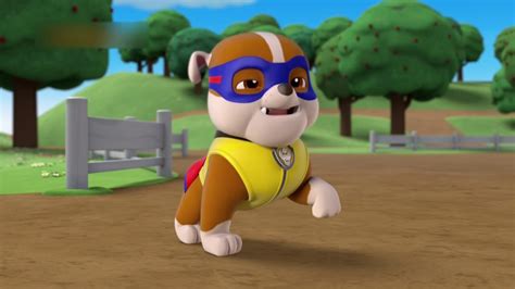 Paw Patrol Season 1 Best Video Youtube