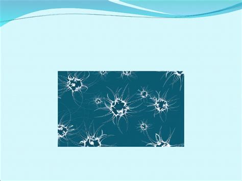 Прокариотна клетка Презентация по Клетъчна биология Биология