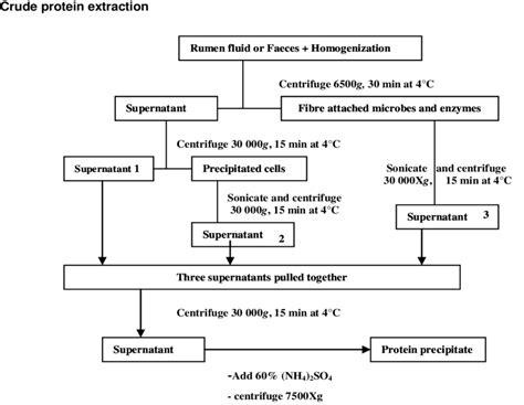 A Flow Chart For The Precipitation Of Cellulase And Hemicellulase From