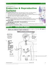 HBIA 2015 Lab 7 Endocrine Reproductive Systems Docx Modules 5 6 Endocrine