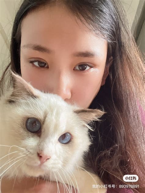 性格温顺 布偶猫 买只宠物 专业的宠物购买平台，覆含宠物狗、宠物猫、小宠等分类，100实拍，30天健康保障，提供担保交易，让您买