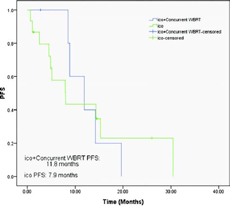 Progression Free Survival Pfs In Patients Receiving Icotinib