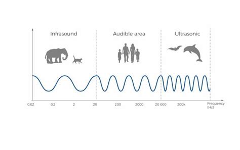 Sound Wave Definition Characteristics And Use In Acoustics