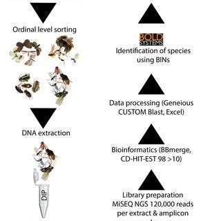 Visualization Of The Study Workflow Download Scientific Diagram