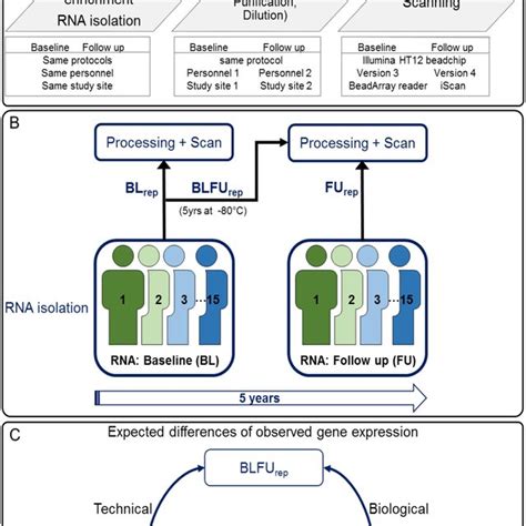 Comparison Of Different Batch Effect Removal Approaches Replicates Of